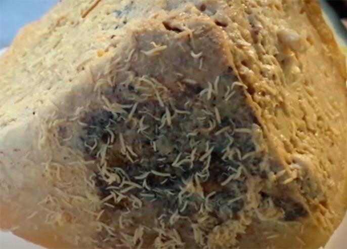 Casu Marzu: el queso fermentado con gusanos que está prohibido y podría ...