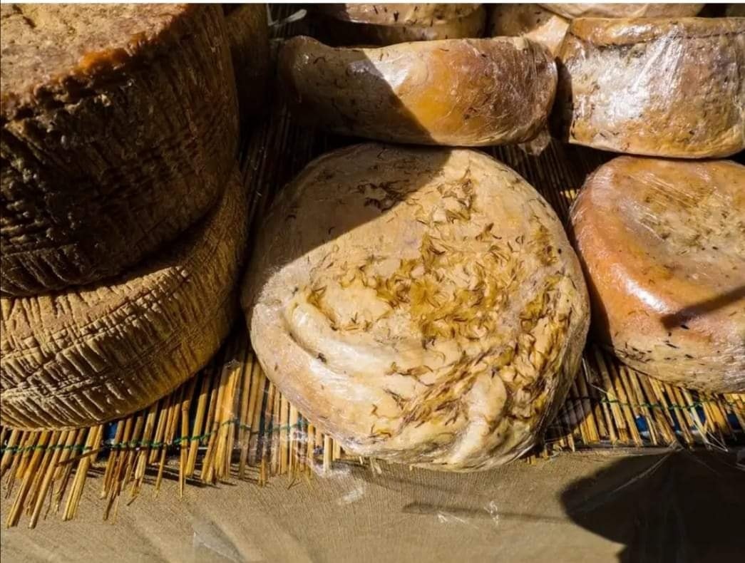 Casu Marzu: el queso fermentado con gusanos que está prohibido y podría ...